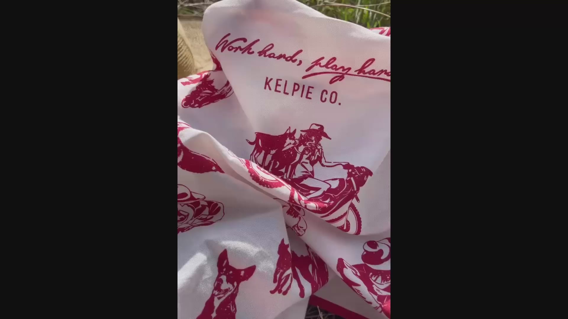 Kelpie Co Australia | Home of authentic & iconic Kelpie dog apparel